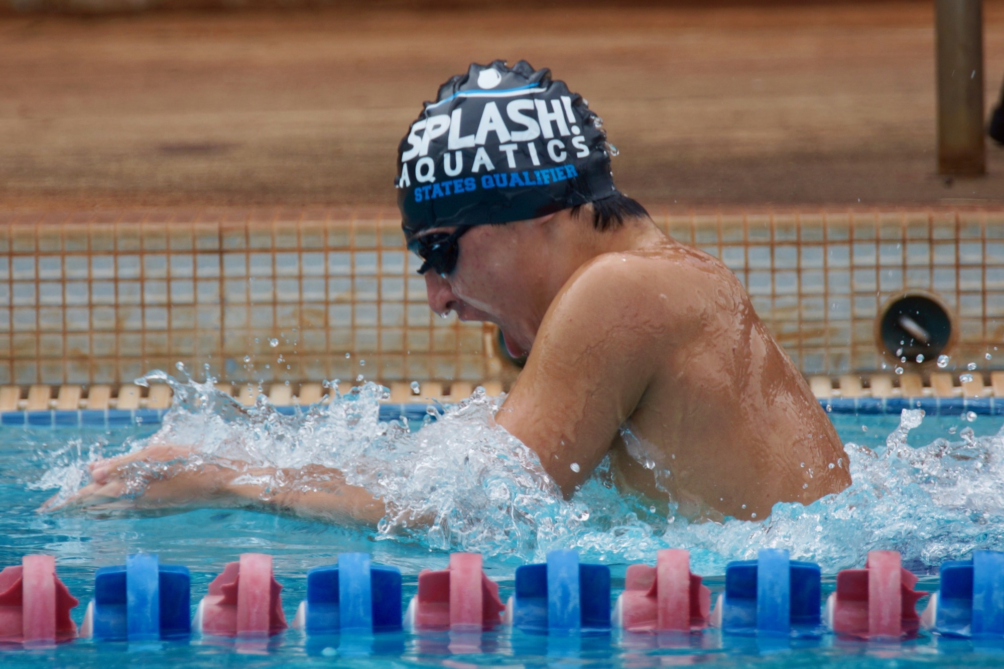 Splash Aquatics Home